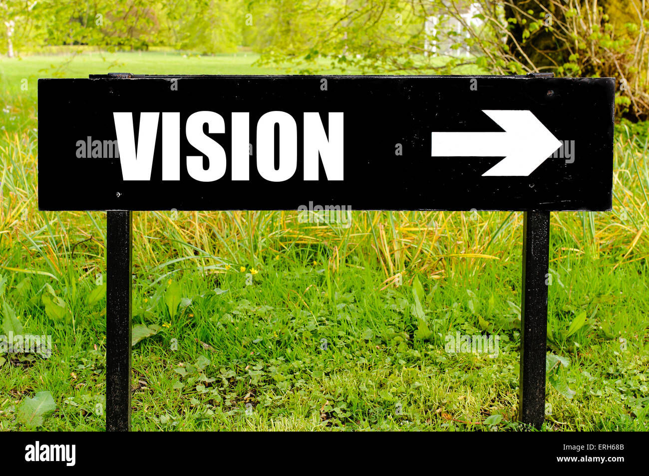 VISION written on directional black metal sign with arrow pointing to ...