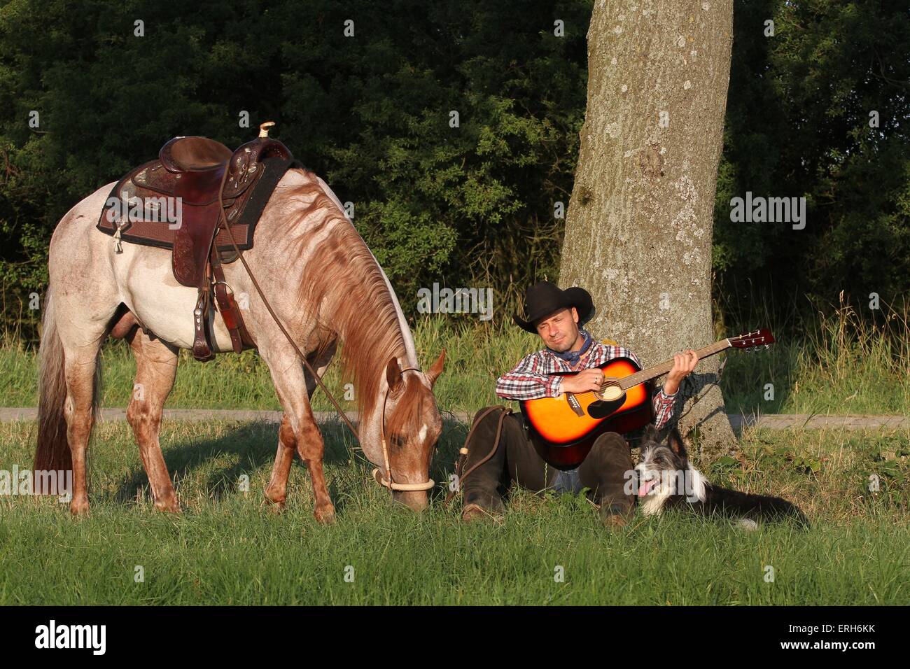 man with dog and horse Stock Photo - Alamy