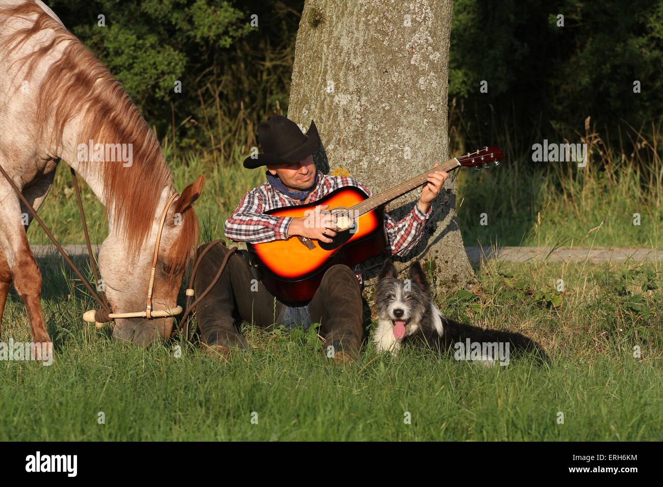 man with dog and horse Stock Photo - Alamy