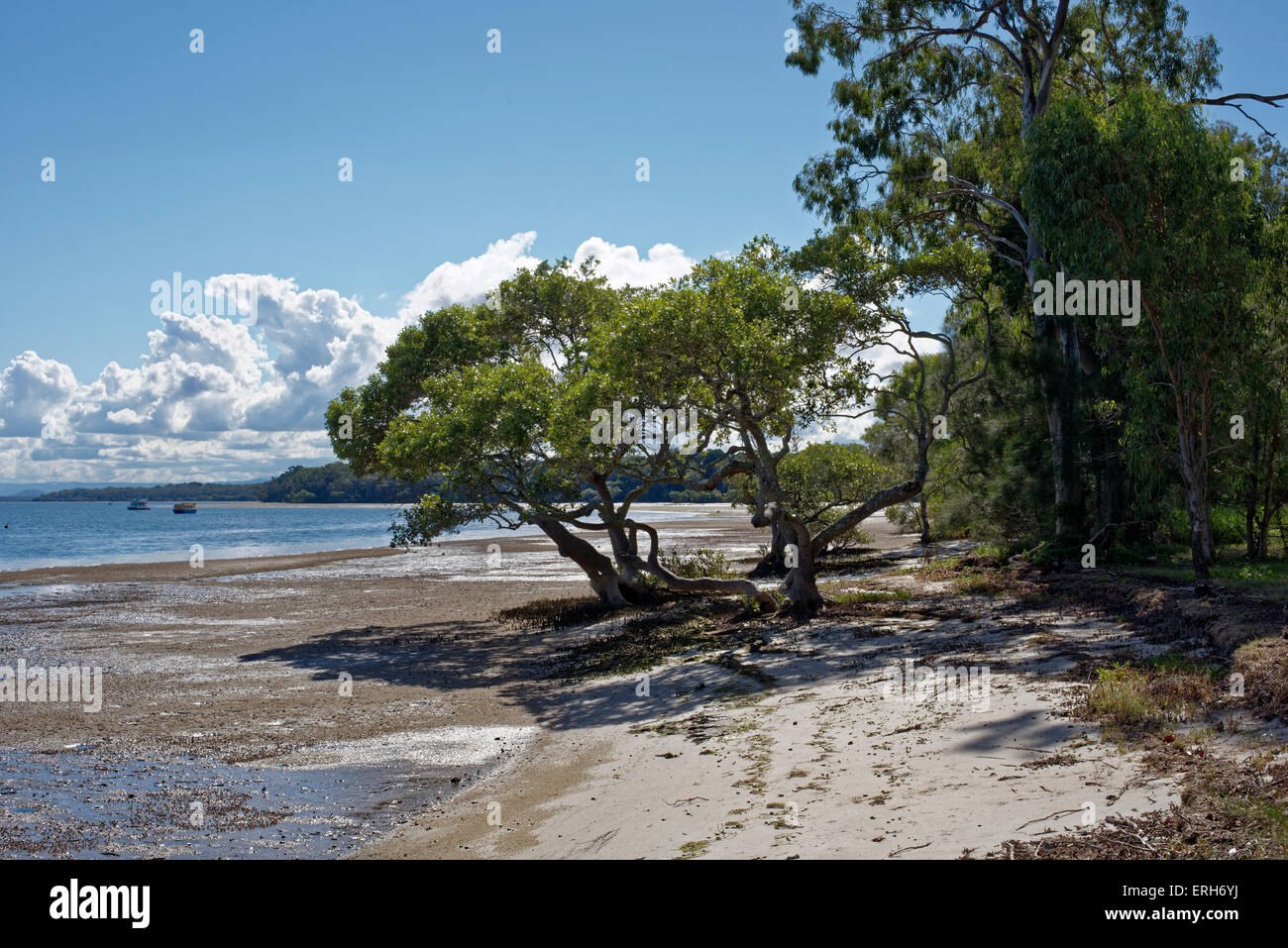 Pumicestone passage hi-res stock photography and images - Alamy