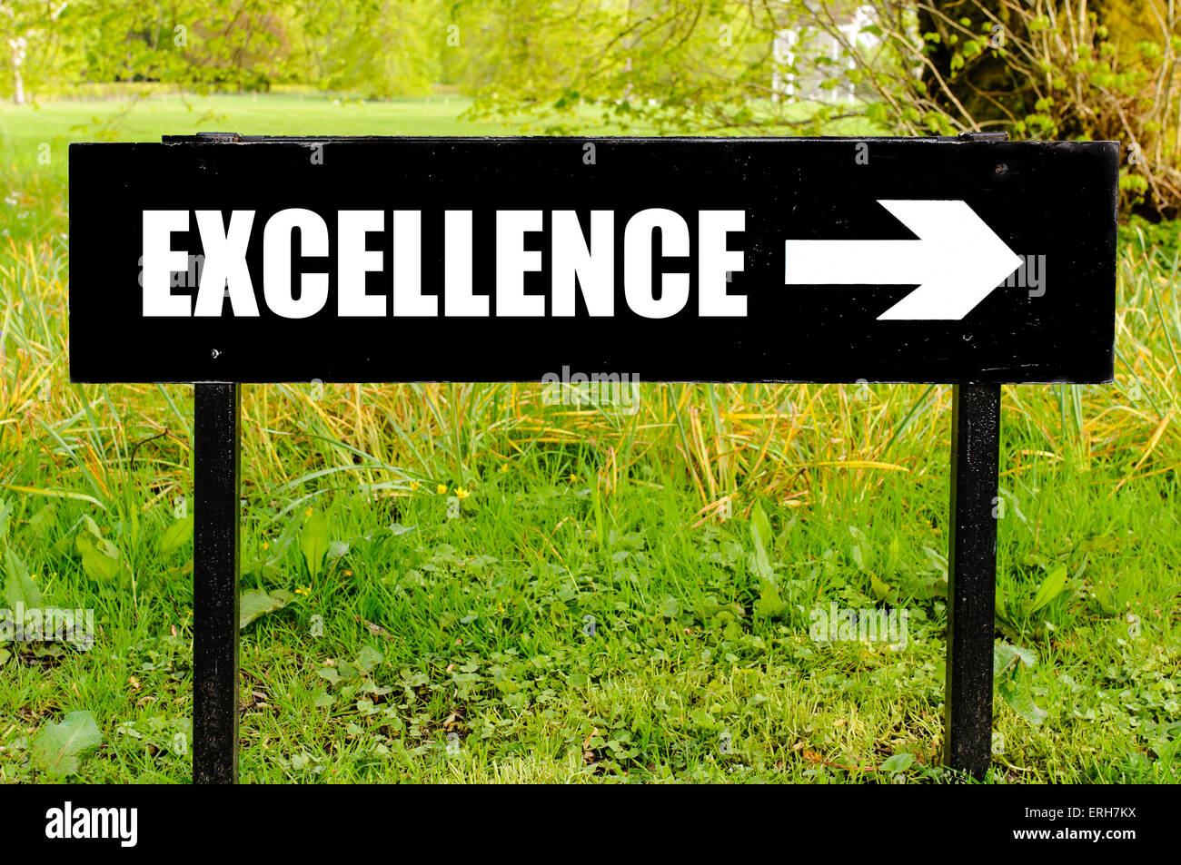 EXCELLENCE written on directional black metal sign with arrow pointing ...
