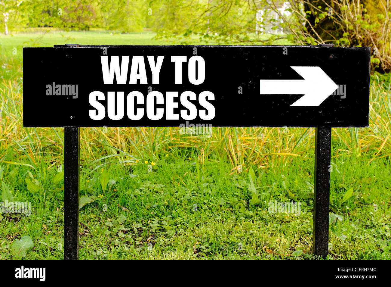 WAY TO SUCCESS written on directional black metal sign with arrow ...