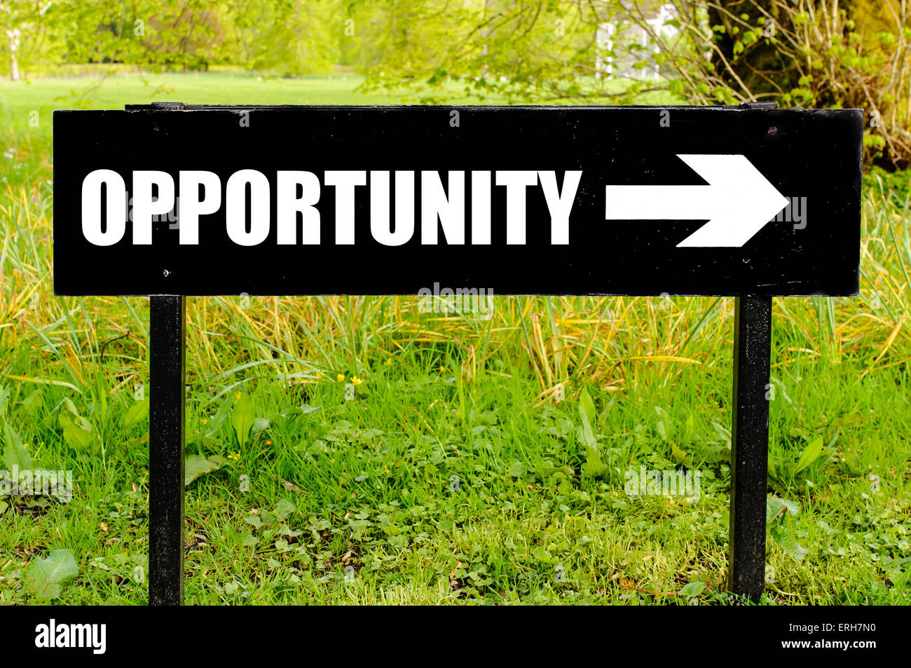 OPPORTUNITY written on directional black metal sign with arrow pointing ...