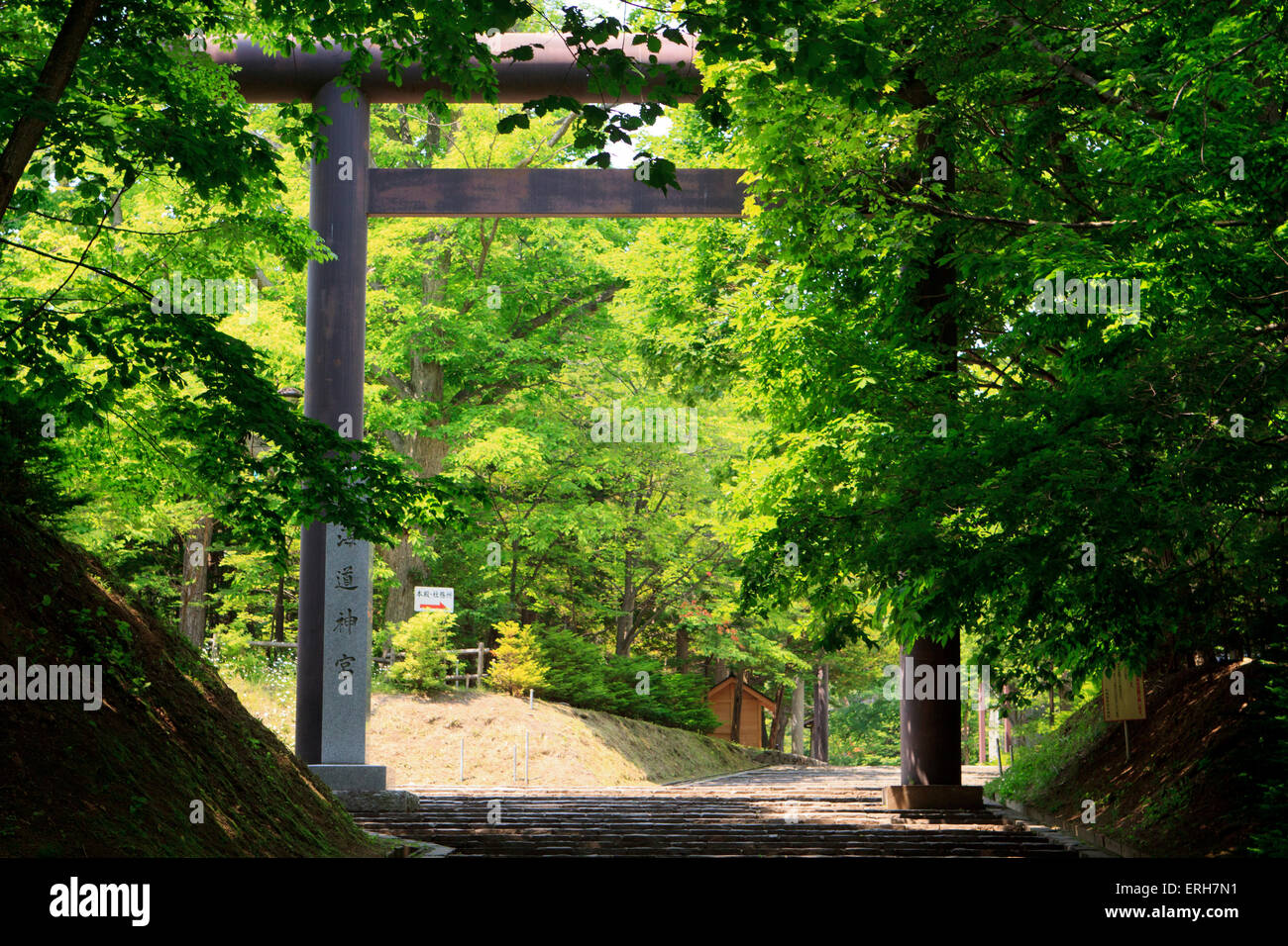 A giant stone torii gate marks the entrance to Hokkaido Jingu in ...