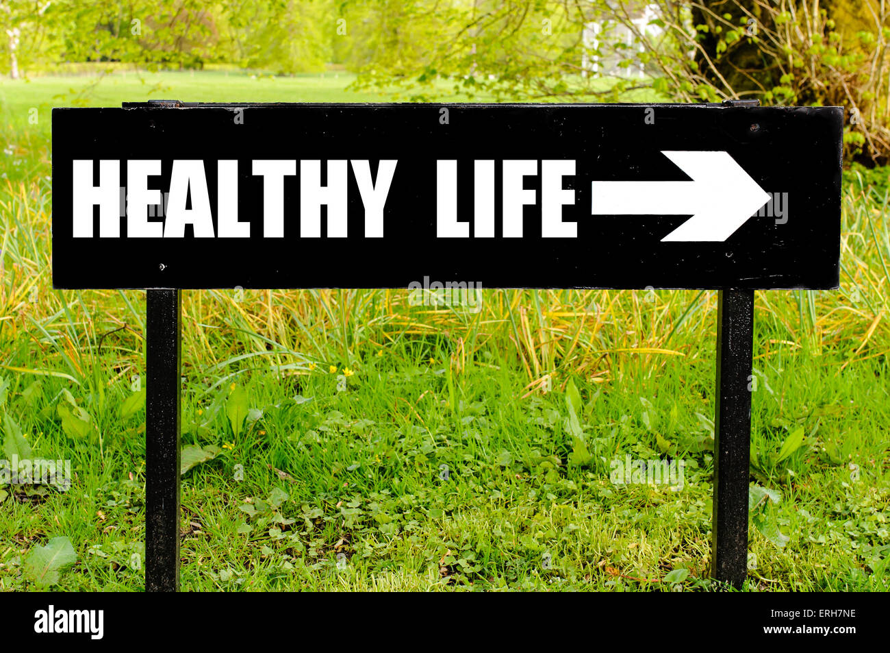 HEALTHY LIFE written on directional black metal sign with arrow ...