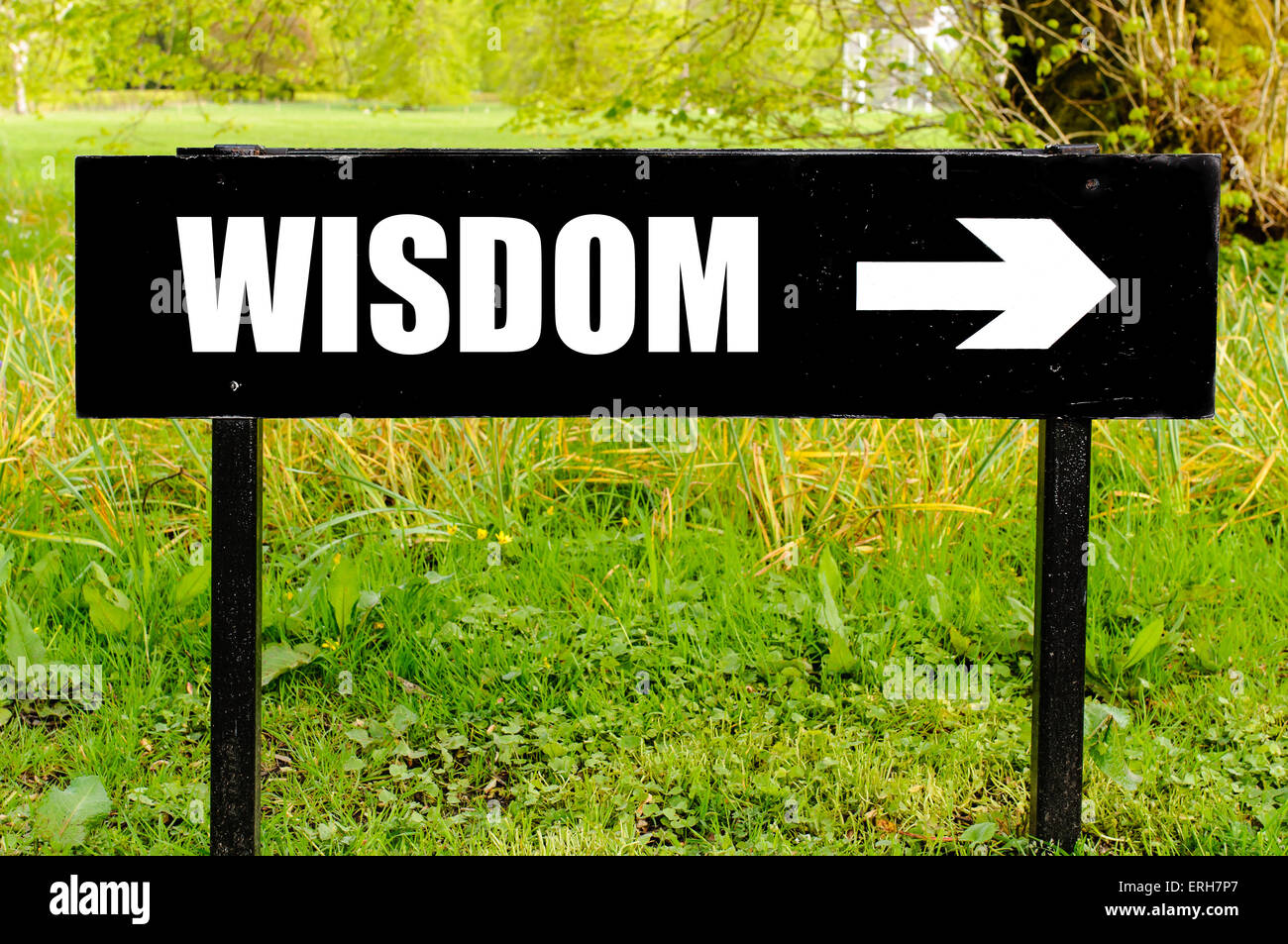 WISDOM written on directional black metal sign with arrow pointing to ...