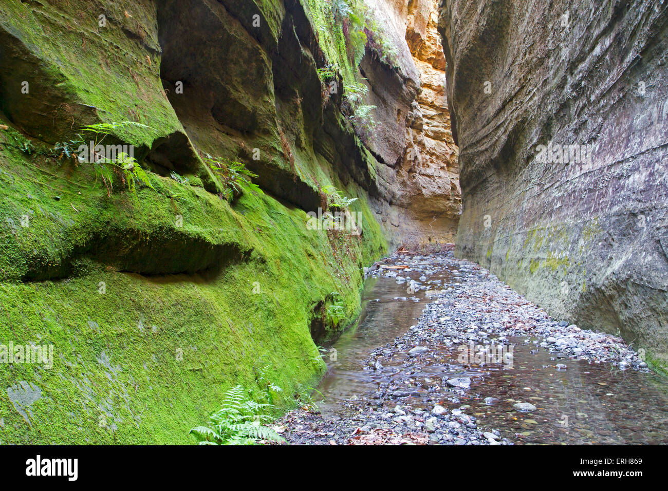 Side of gorge hi-res stock photography and images - Alamy