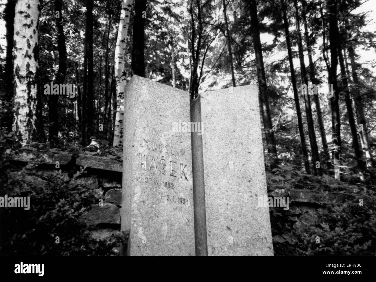 Svejk Stock Photos & Svejk Stock Images - Alamy