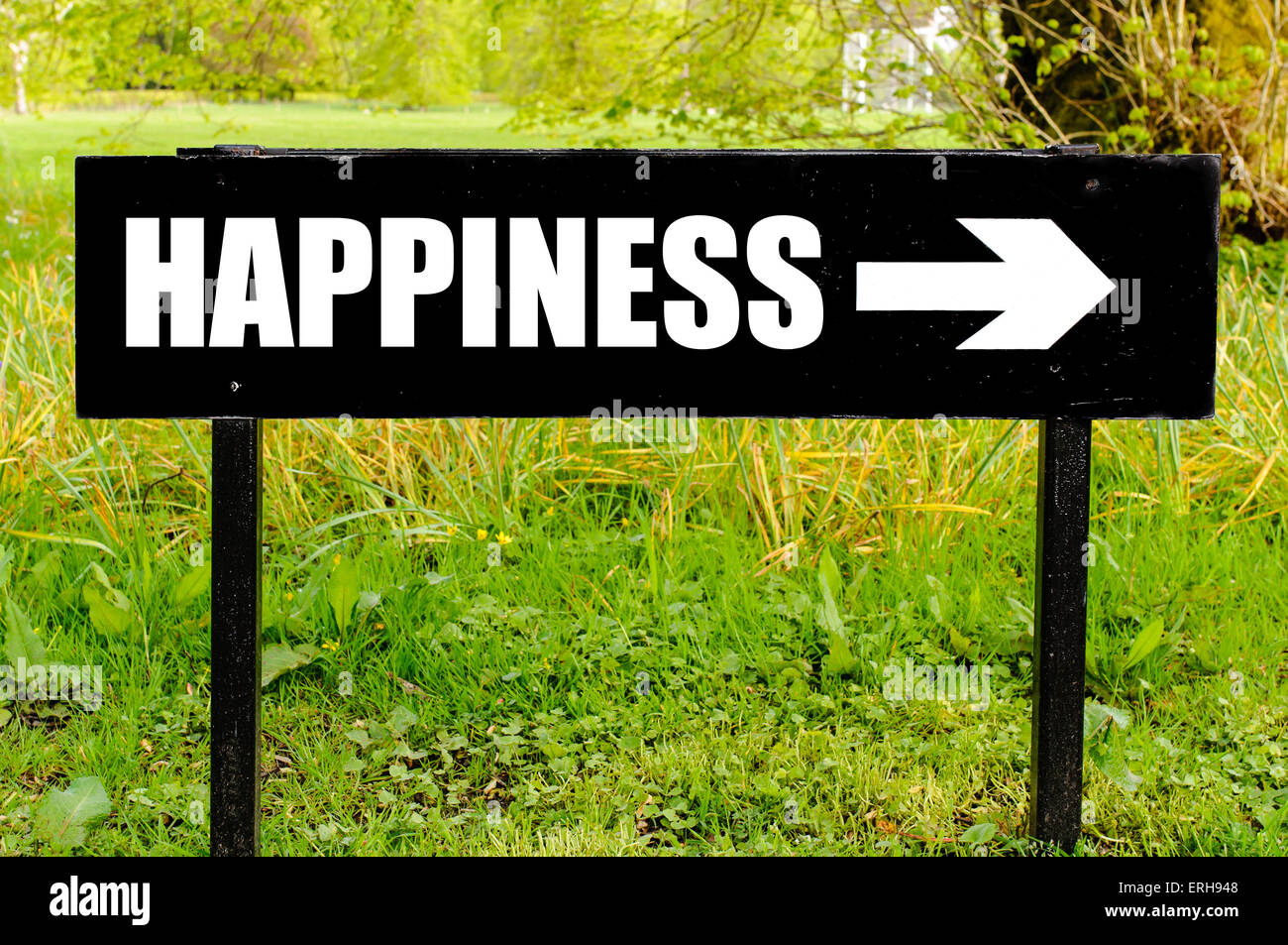 HAPPINESS written on directional black metal sign with arrow pointing ...
