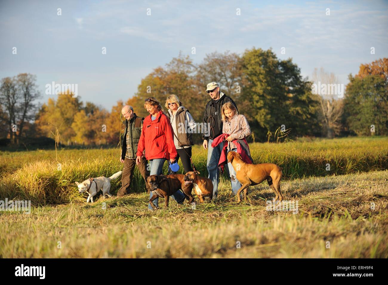 people with dogs Stock Photo - Alamy