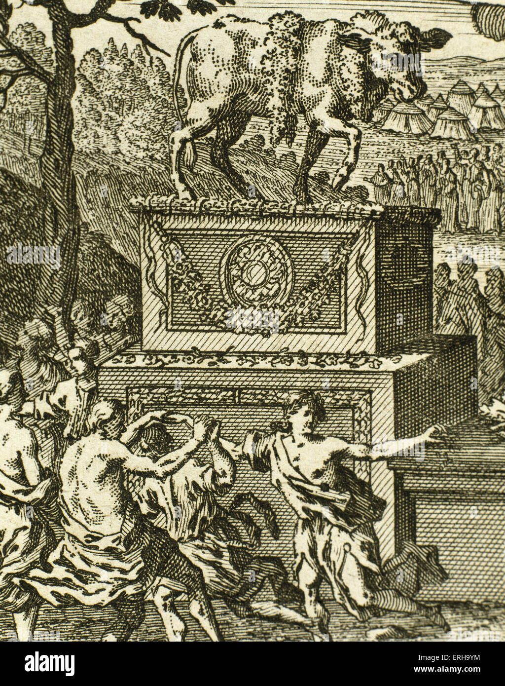 Golden calf hi-res stock photography and images - Alamy