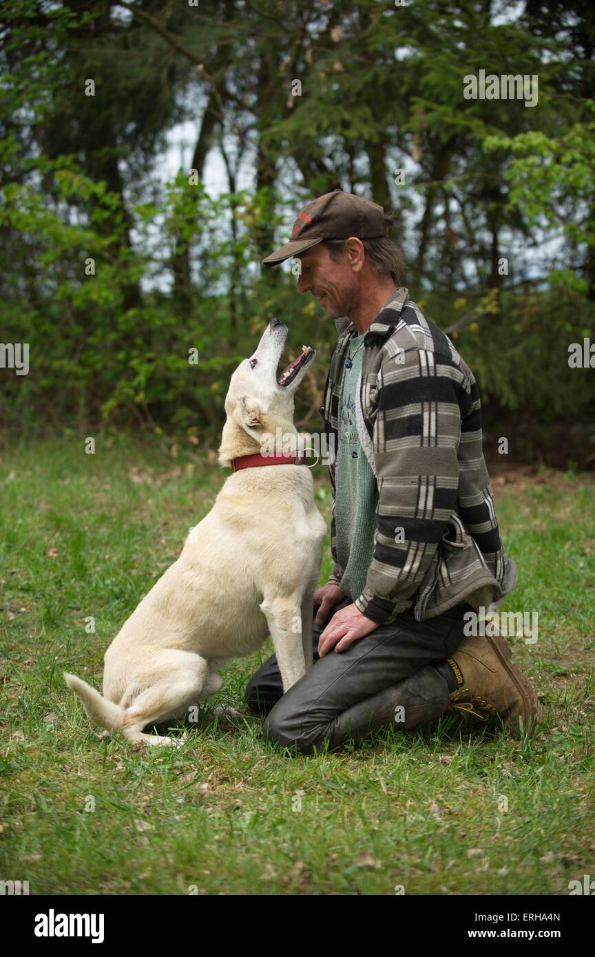 man and Siberian Husky Stock Photo - Alamy