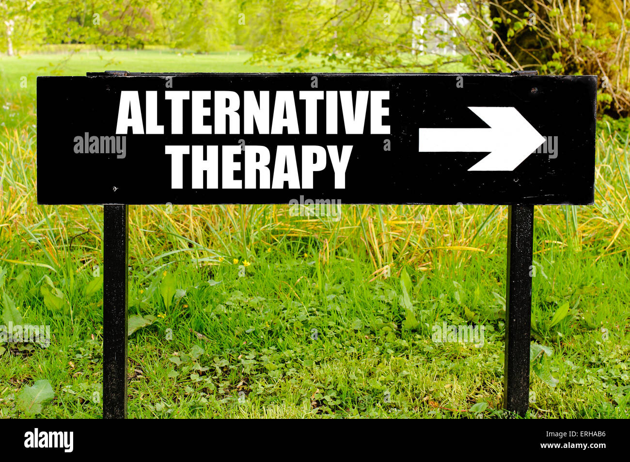 ALTERNATIVE THERAPY written on directional black metal sign with arrow ...