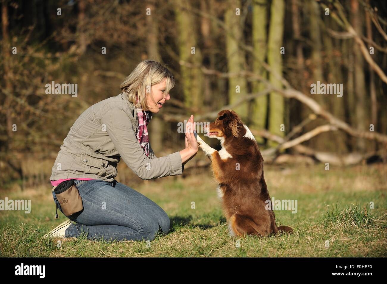 woman with Miniature Australian Shepherd Stock Photo - Alamy