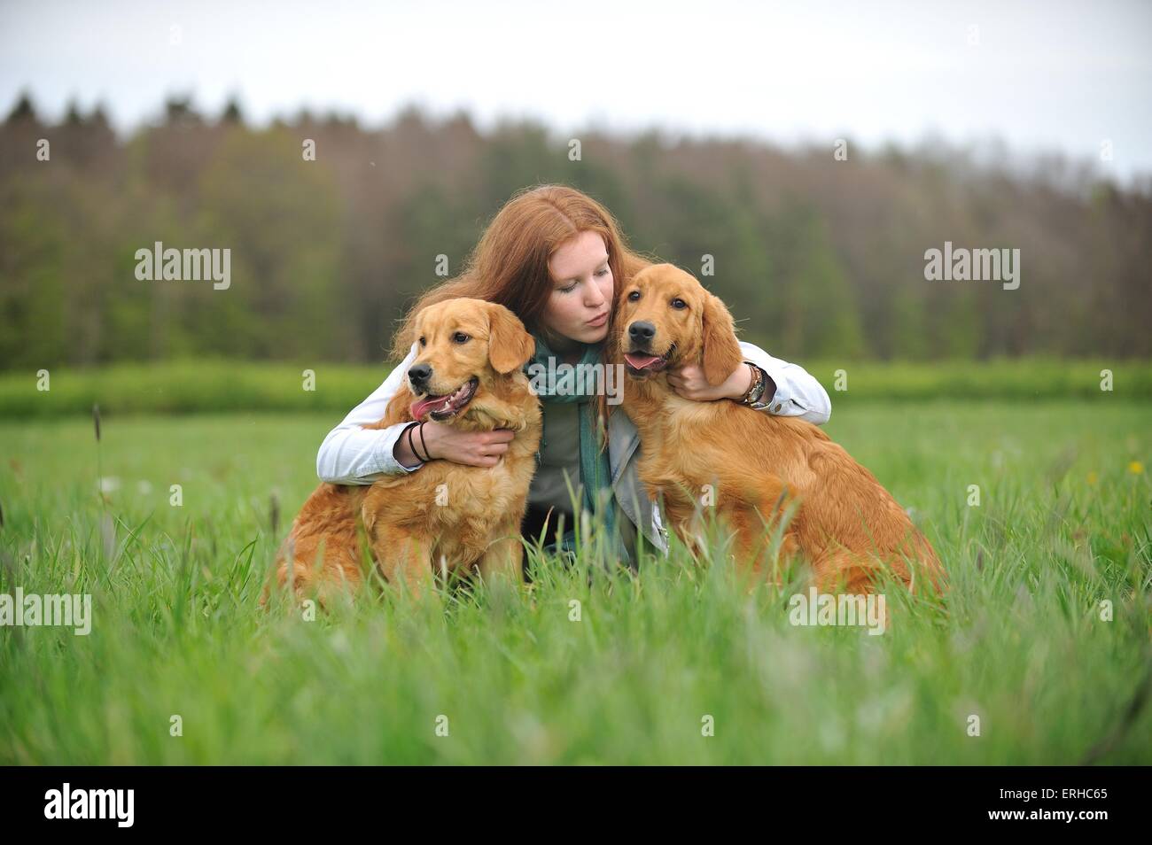 woman and Golden Retriever Stock Photo - Alamy