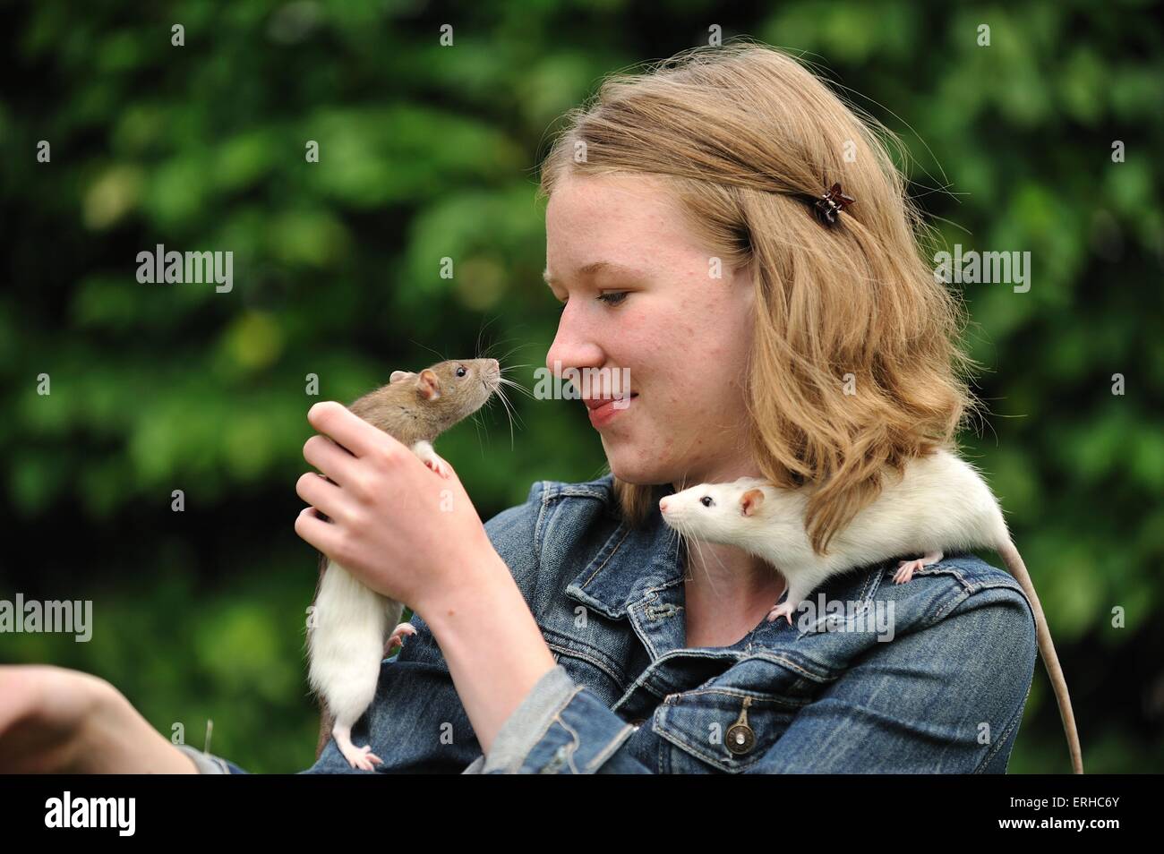 girl with rats Stock Photo - Alamy