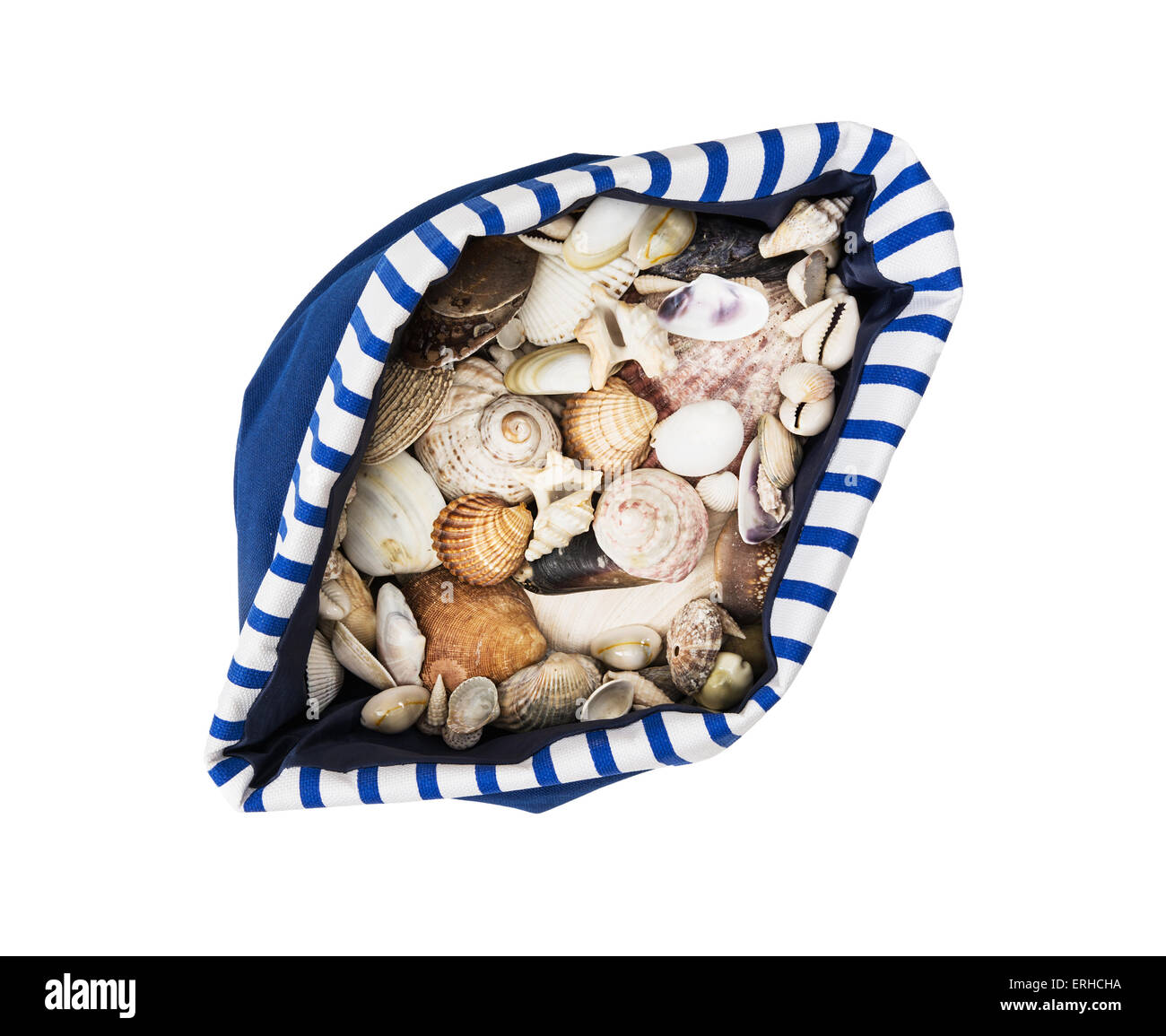 Scallop shell ridges hi-res stock photography and images - Alamy