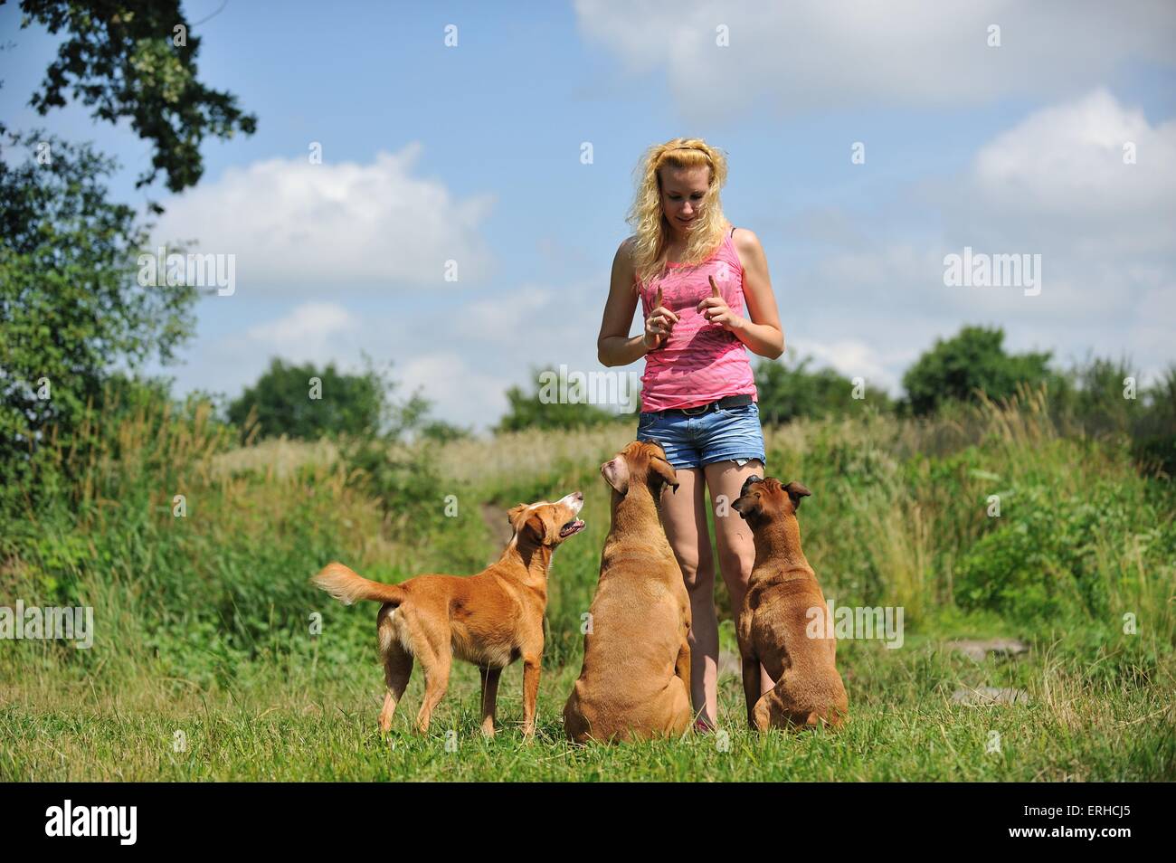 woman with dogs Stock Photo - Alamy