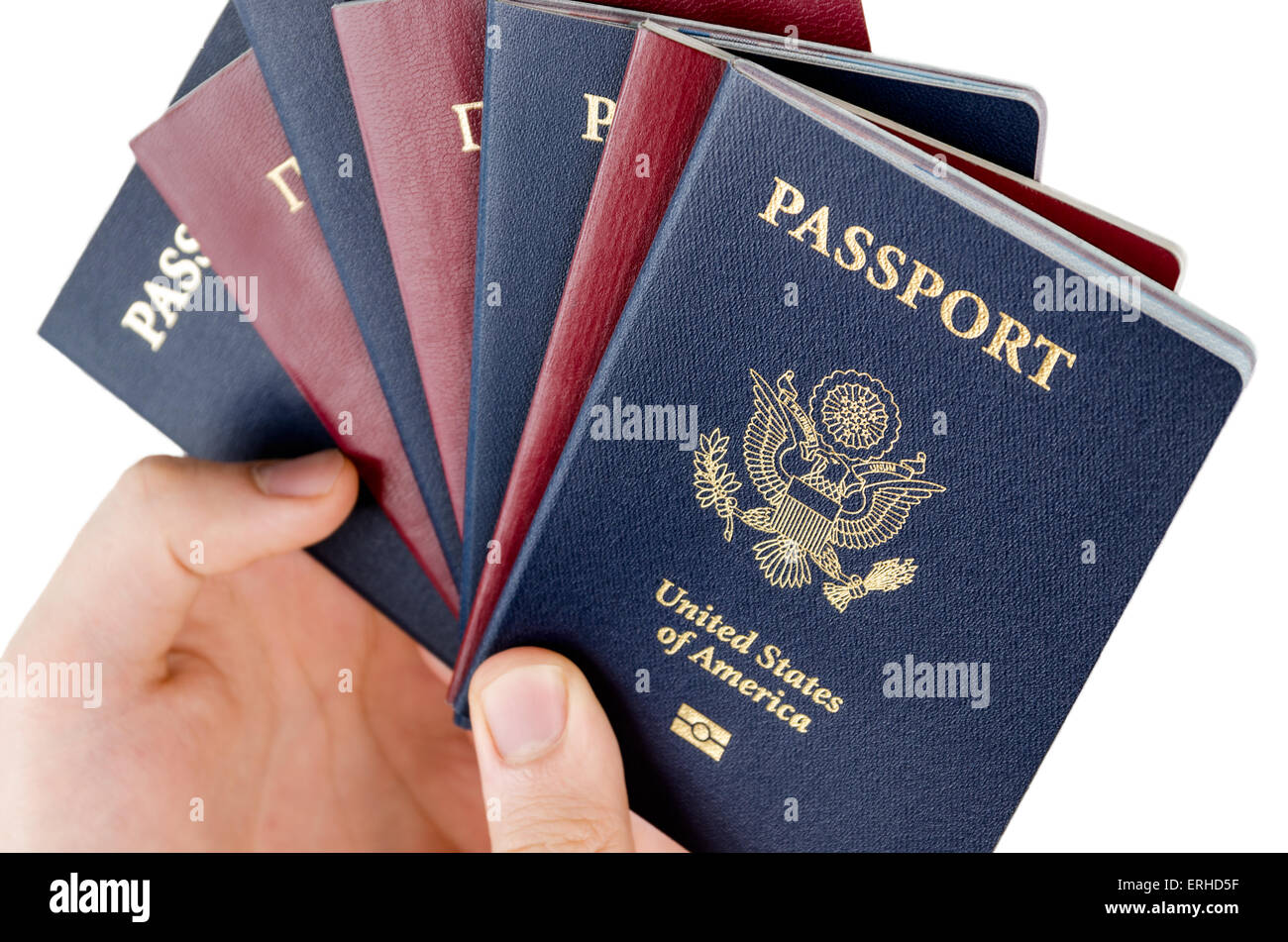 How do you identify a seal hi-res stock photography and images - Alamy