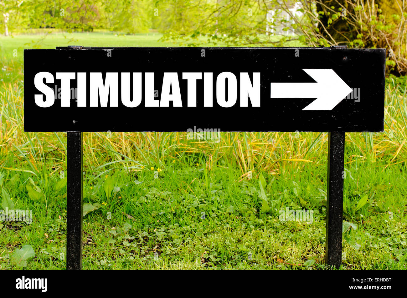 STIMULATION written on directional black metal sign with arrow pointing ...