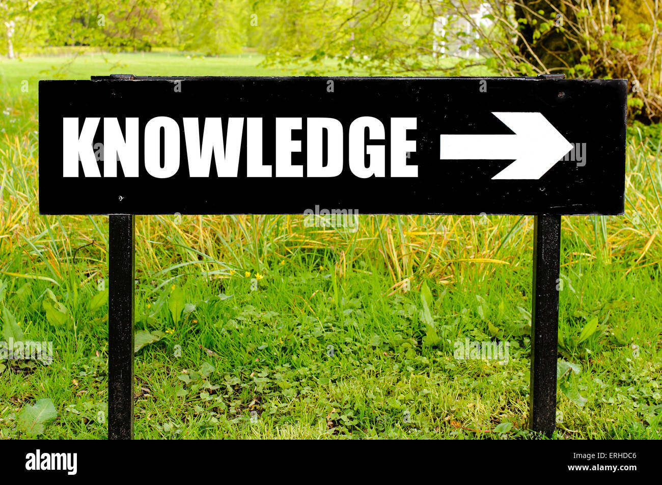 KNOWLEDGE written on directional black metal sign with arrow pointing ...