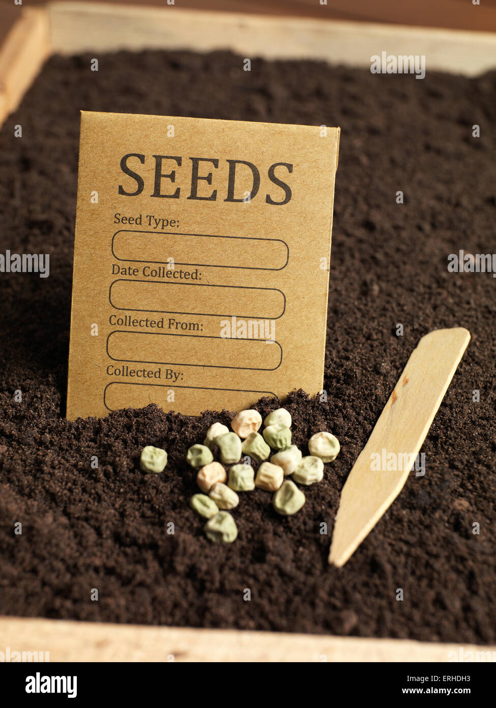 Seed tray and seeds Stock Photo - Alamy