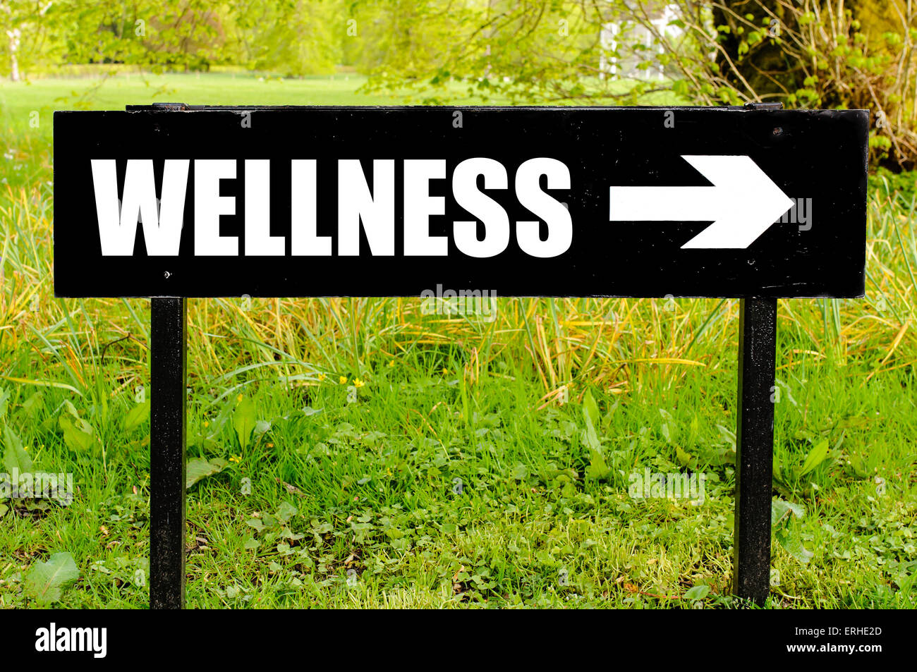 WELLNESS written on directional black metal sign with arrow pointing to ...