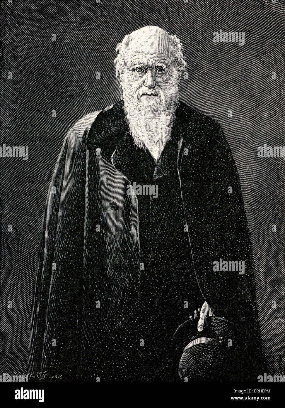 Charles Darwin Theory Of Evolution High Resolution Stock Photography ...