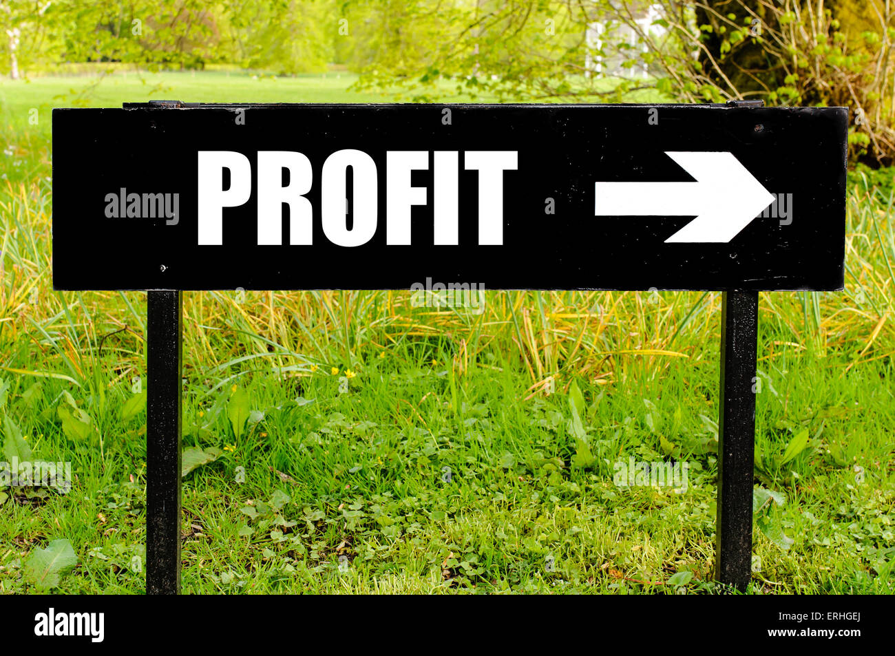 PROFIT written on directional black metal sign with arrow pointing to ...