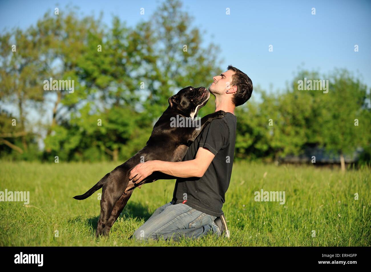 man and Olde English Bulldog Stock Photo - Alamy