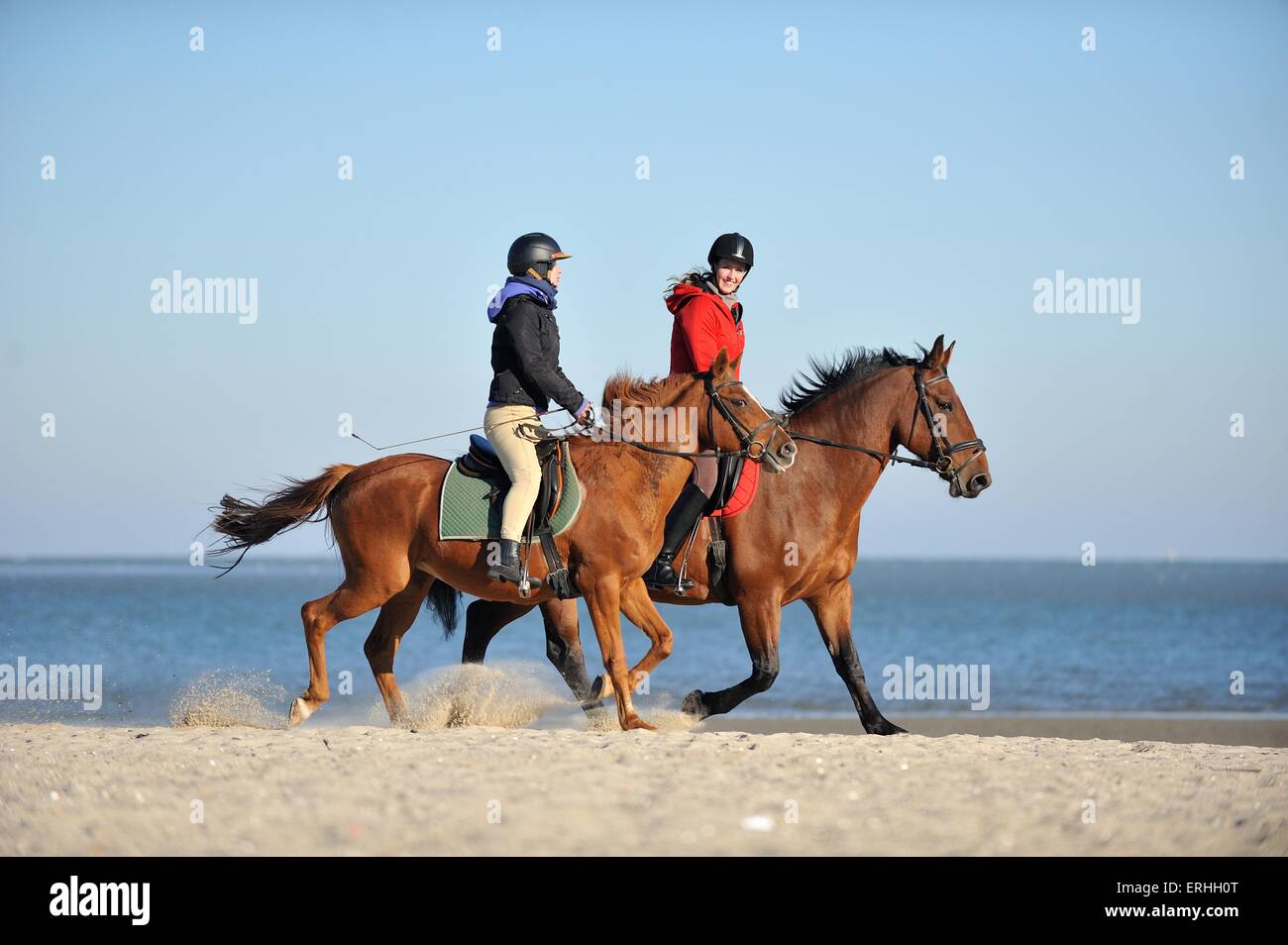 Beach pony rides hi-res stock photography and images - Alamy