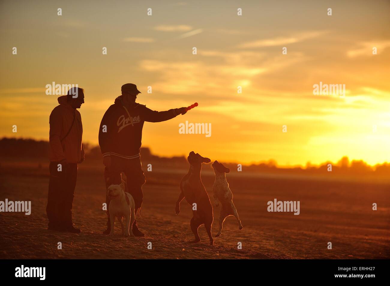 humans and dogs Stock Photo - Alamy