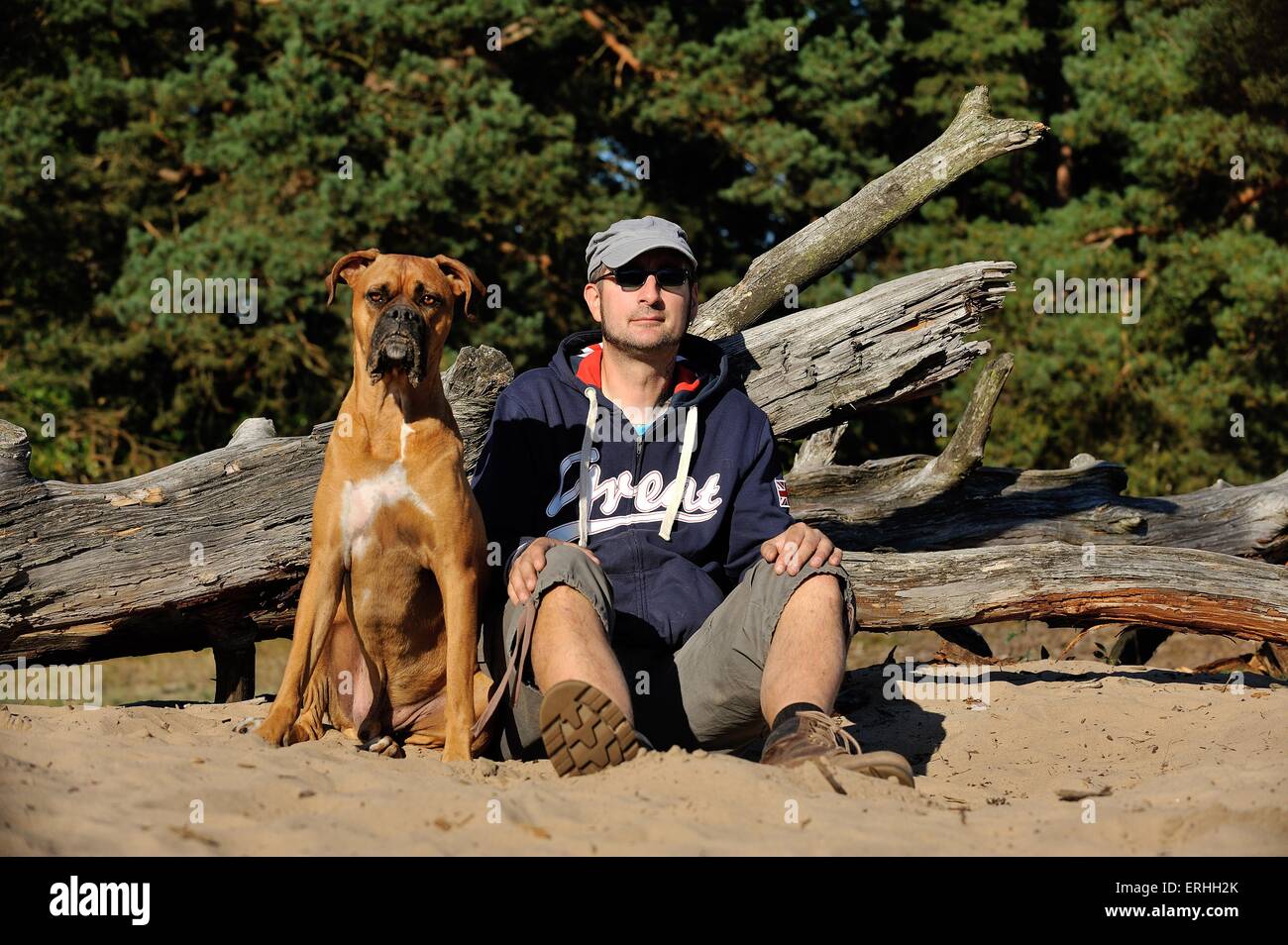 Boxer sitting man hi-res stock photography and images - Alamy