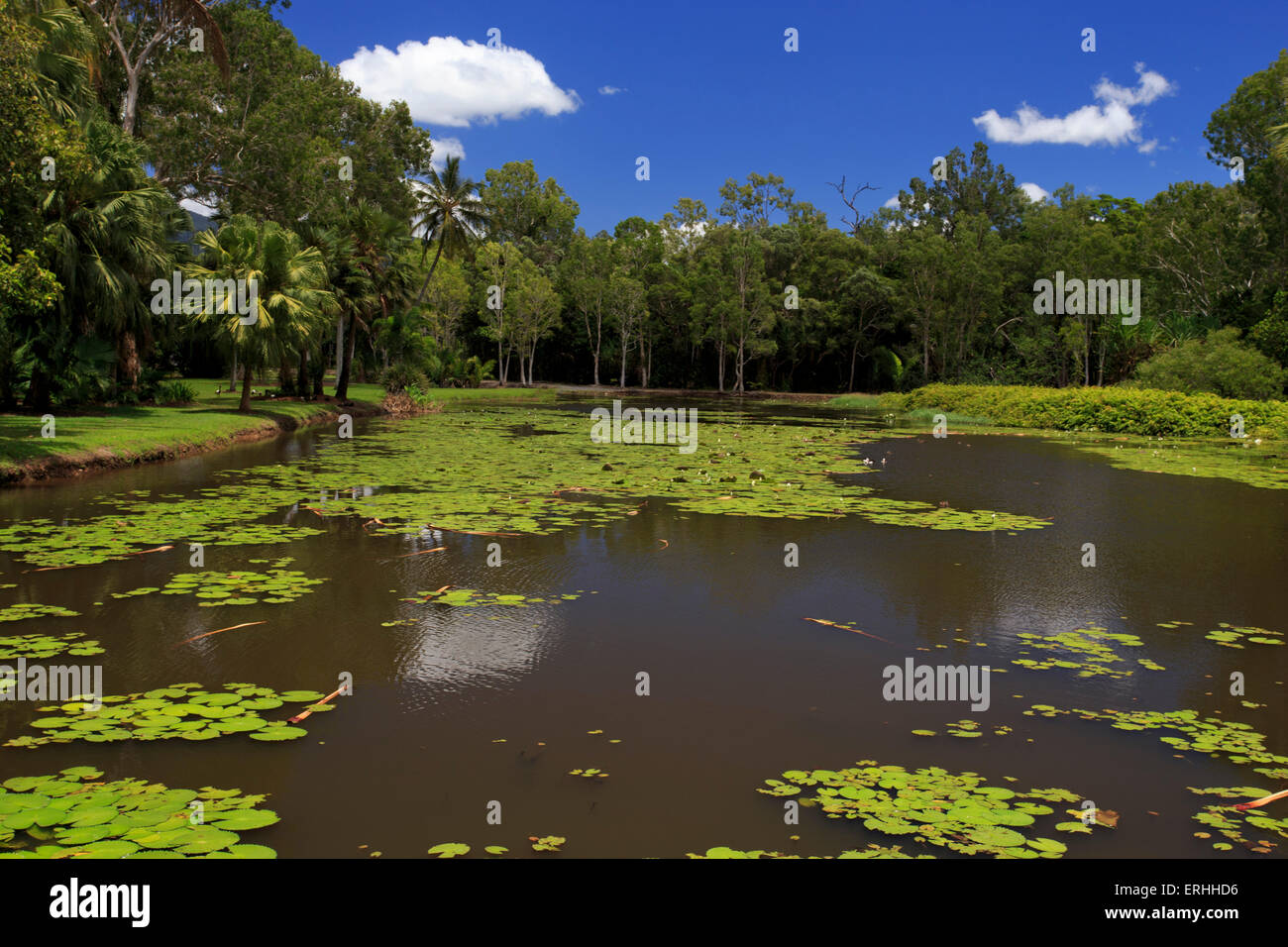 The fresh water lake section of of Centenary Lakes adjoining the ...