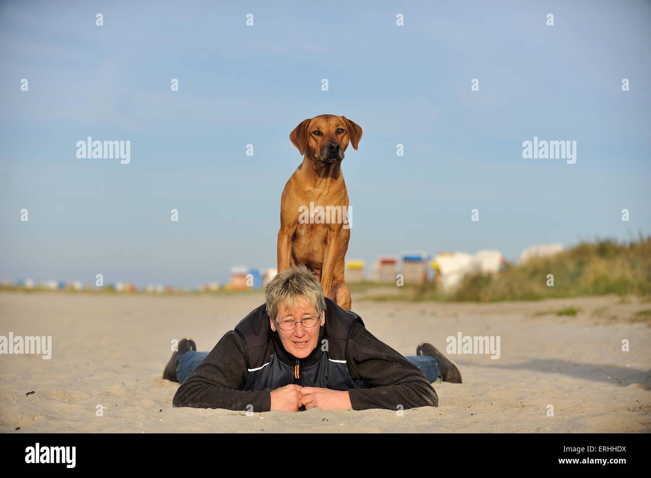 woman and Rhodesian Ridgeback Stock Photo - Alamy