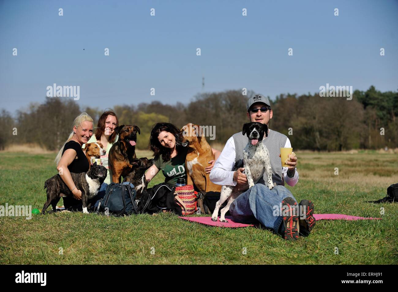 humans and dogs Stock Photo - Alamy
