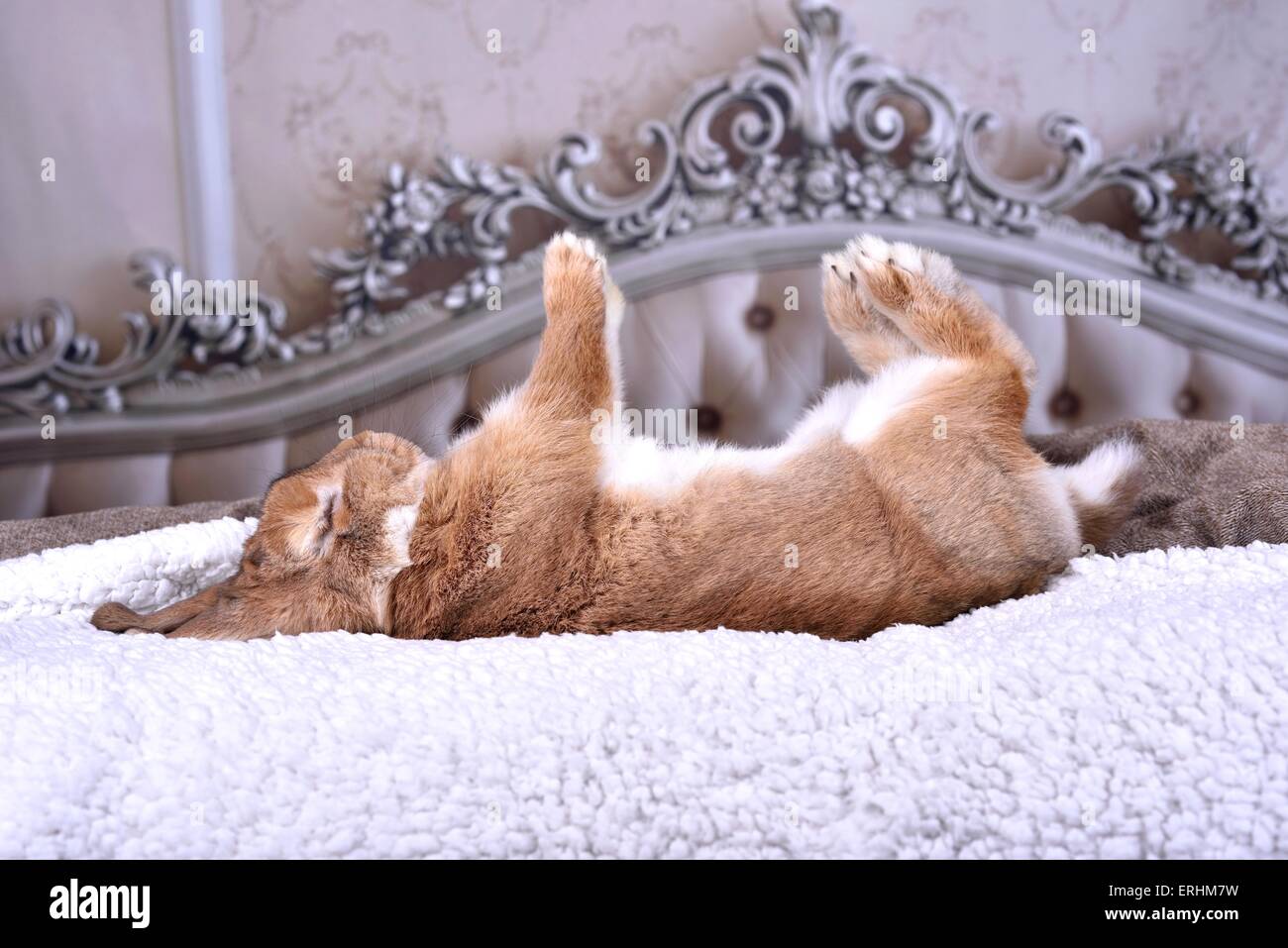 Bed supine position hi-res stock photography and images - Alamy