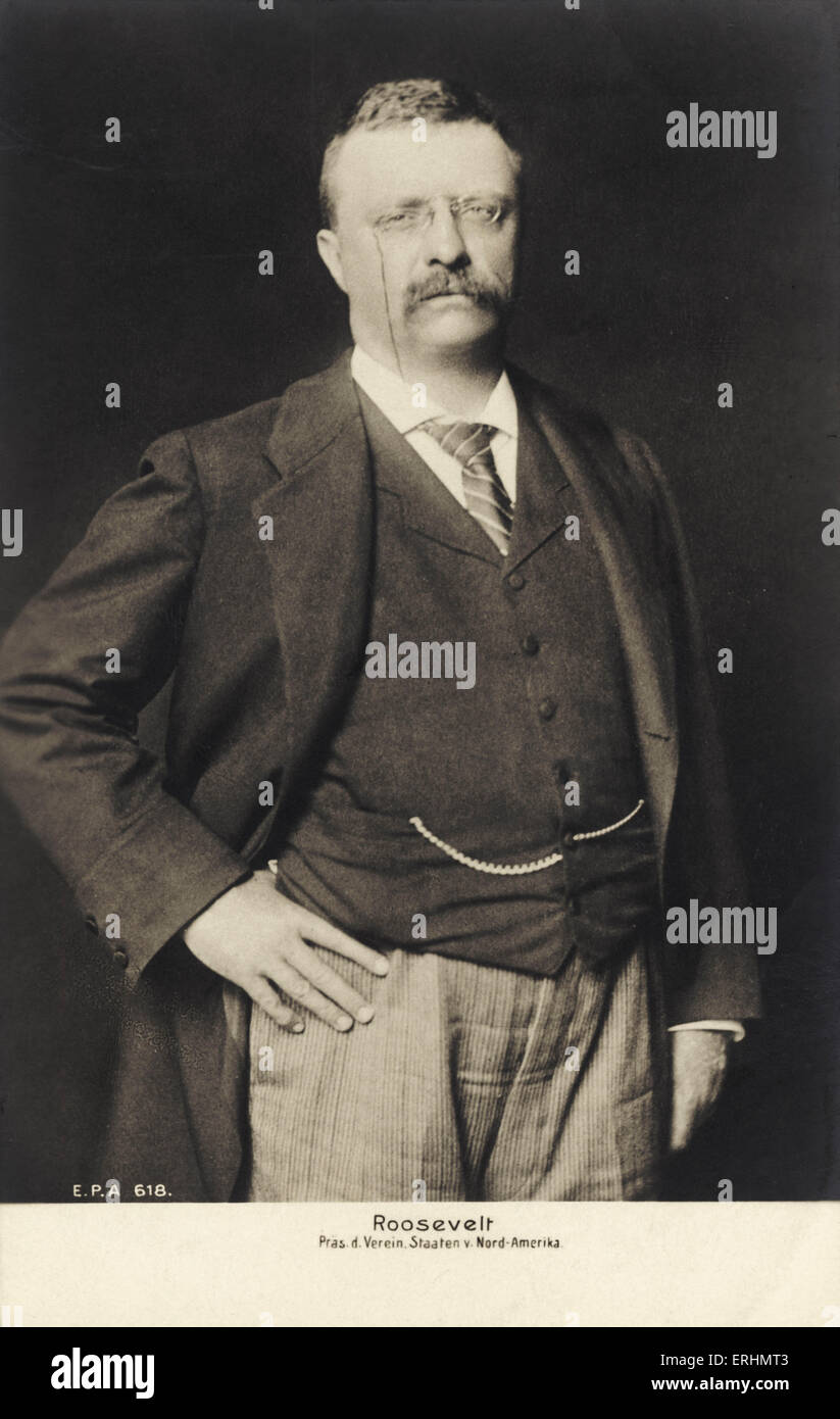 President Theodore Teddy Roosevelt High Resolution Stock Photography ...