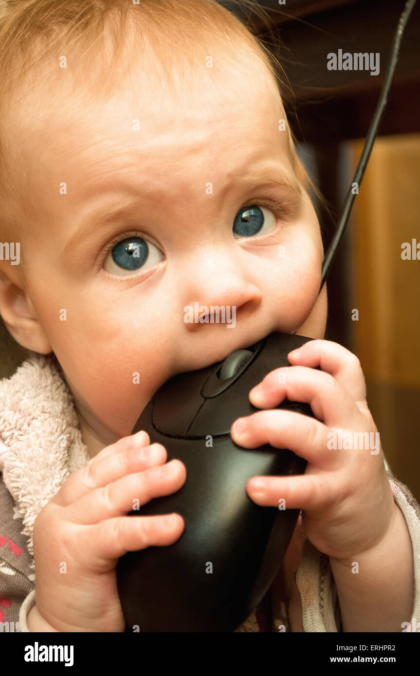 Baby mouse hi-res stock photography and images - Alamy