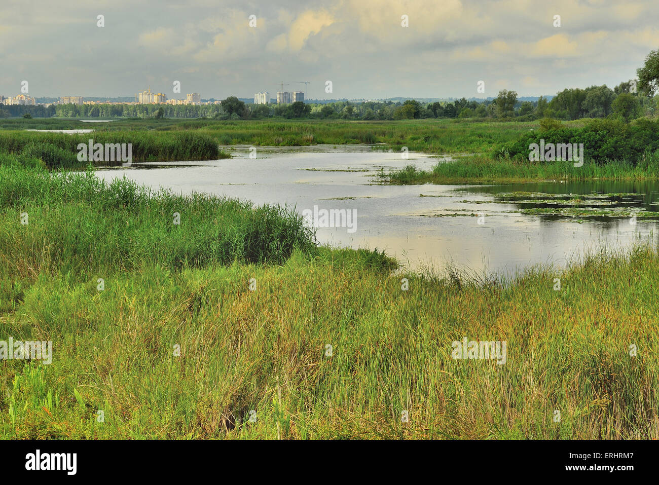 Bay river hi-res stock photography and images - Alamy