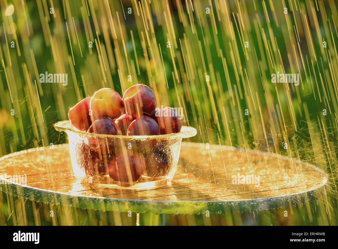 Summer rain and peaches Stock Photo - Alamy
