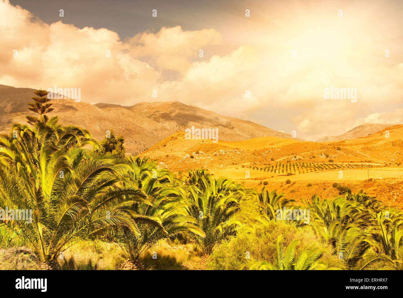 Beautiful landscape view to the palm grove with nice mountain ...