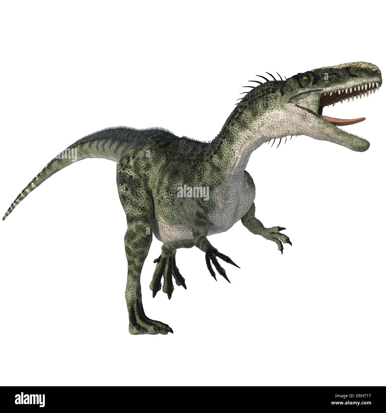 Lizard dinosaurs hi-res stock photography and images - Alamy