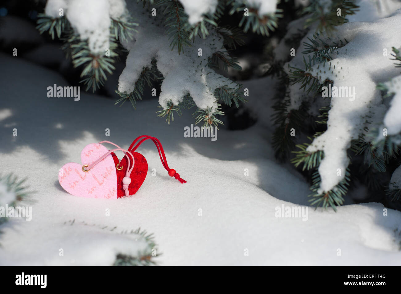 two heart at snow on fir tree Stock Photo - Alamy