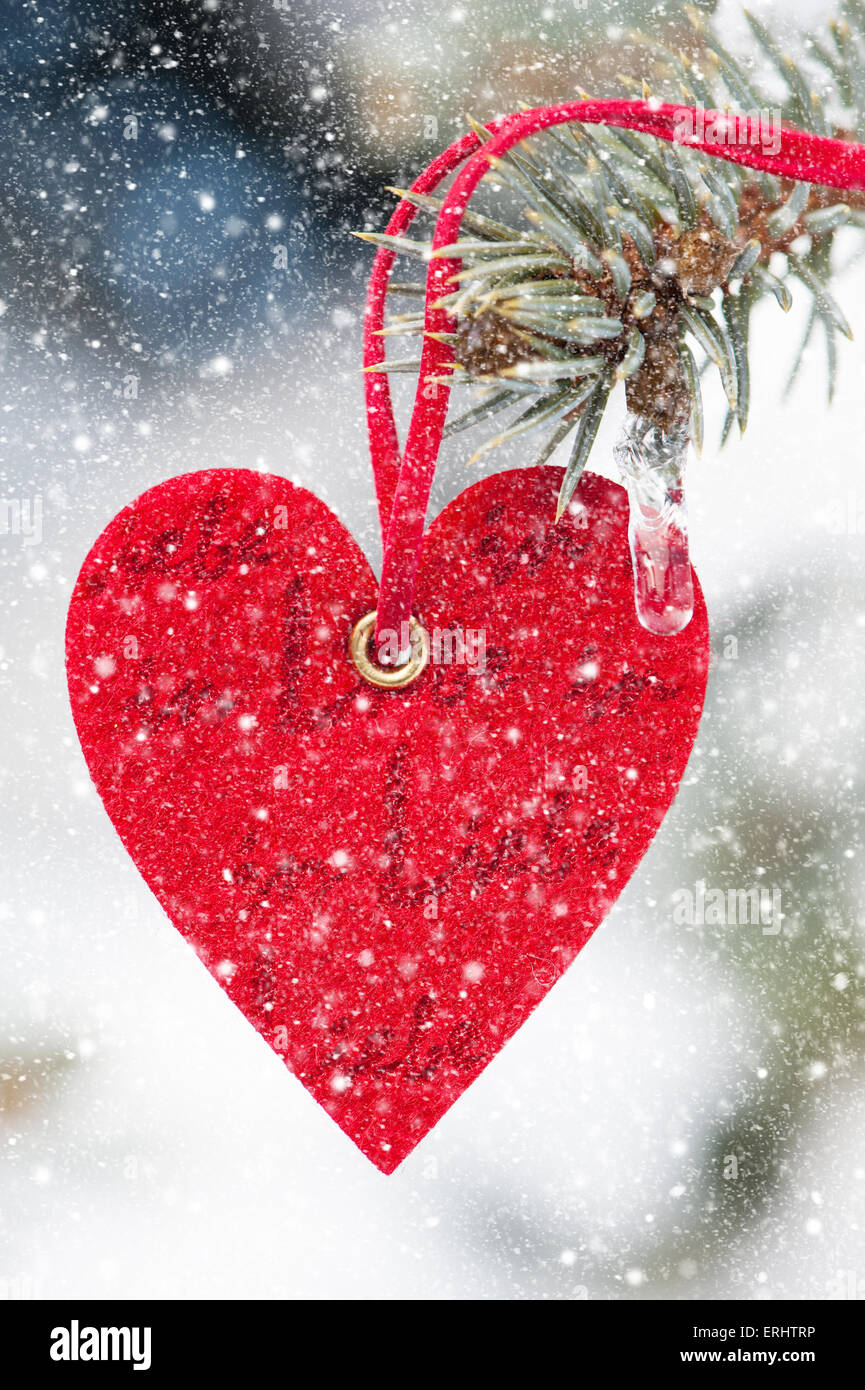 heart at snow on fir tree Stock Photo - Alamy