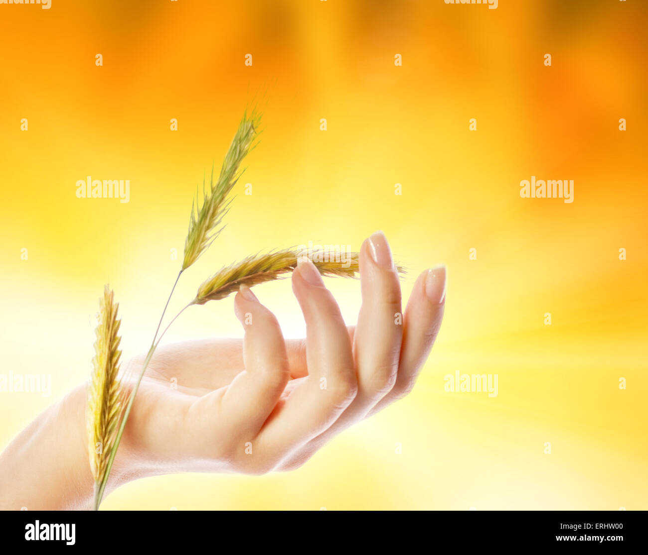 Womans herb hi-res stock photography and images - Alamy