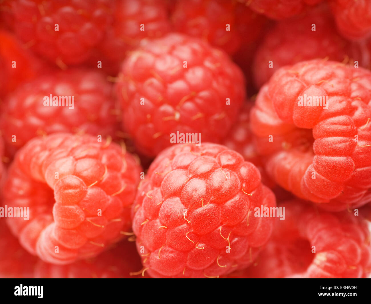 Ripe raspberry background Stock Photo - Alamy