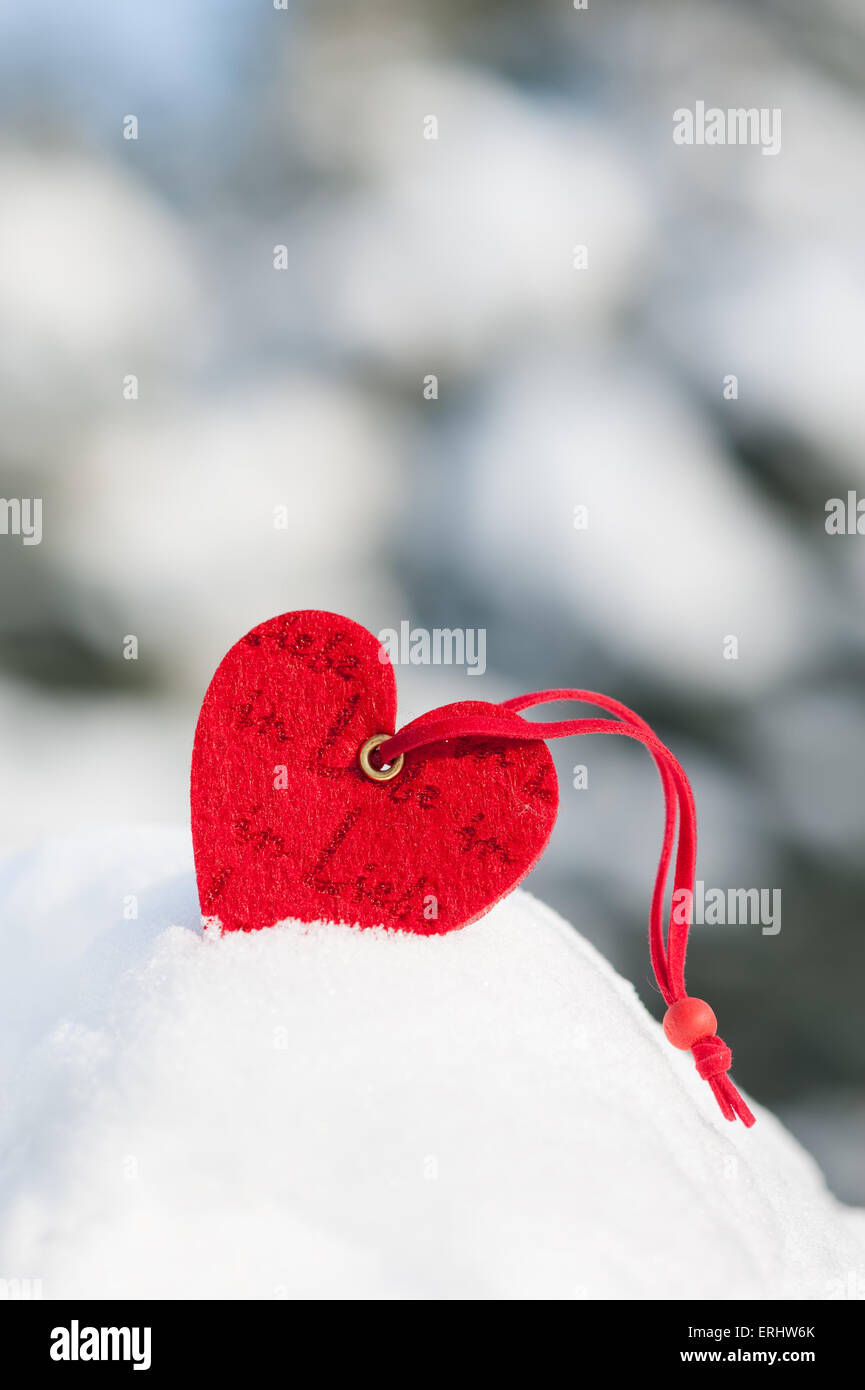 heart at snow on fir tree Stock Photo - Alamy