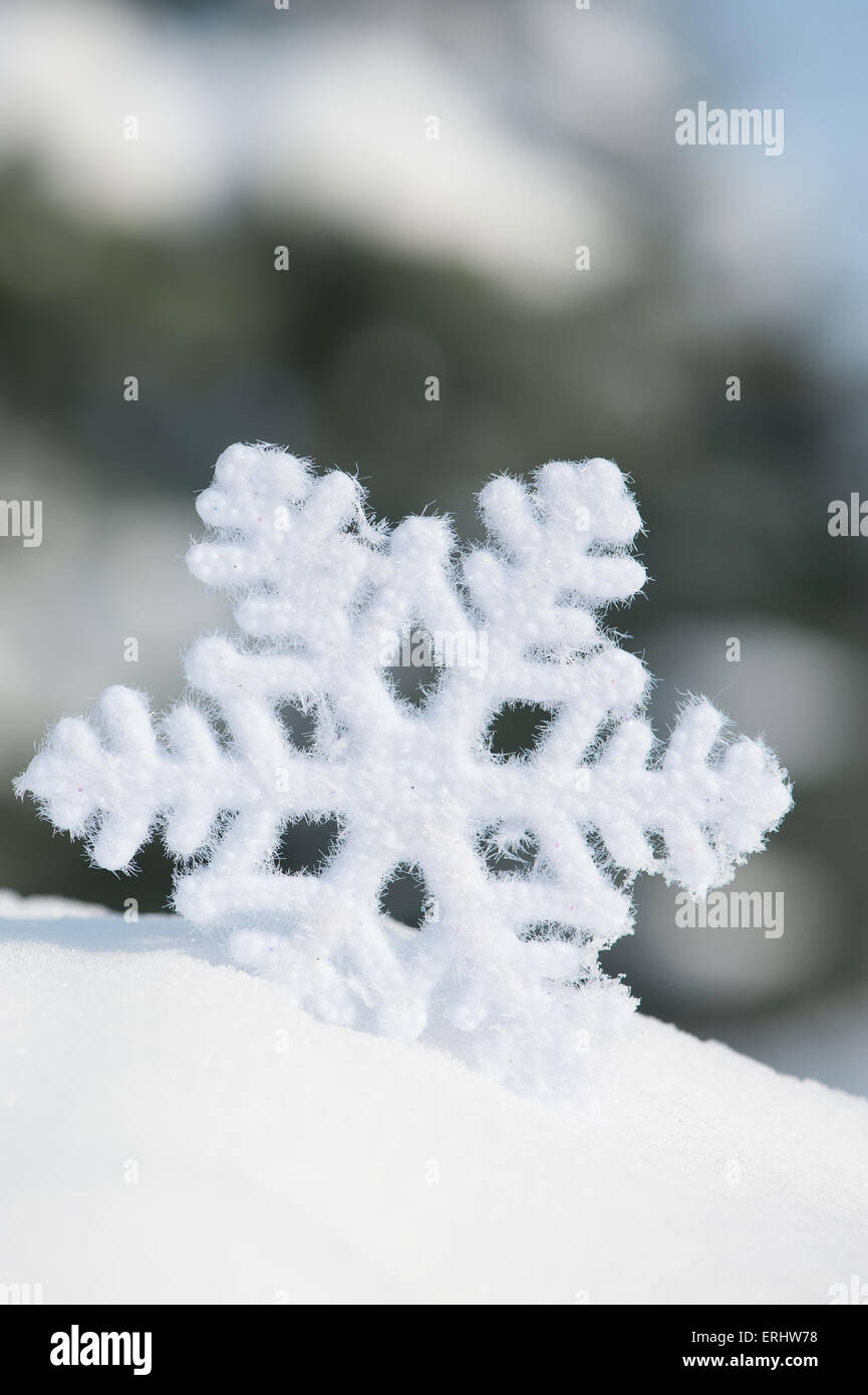 Big snowflake hi-res stock photography and images - Alamy