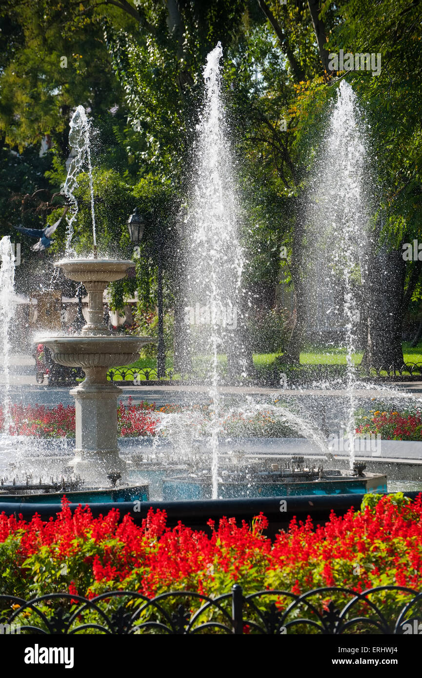 fountain with red flowers Stock Photo - Alamy